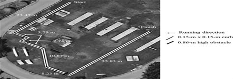 Between Sex Differences In The Work Sample Test Battery Perf The Journal Of Strength