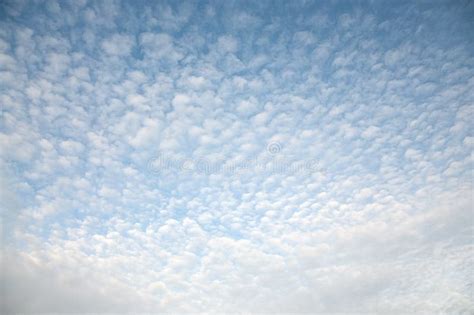 A Layer Of Clouds In A Blue Sky Stock Image Image Of Mackerel Altocumulus