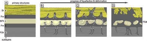 Model Of Soft Sediment Deformation Structures Development In The Lower