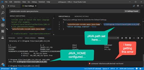 Command Sfdxforceauthdevhub Not Found Other Commands Fail Too