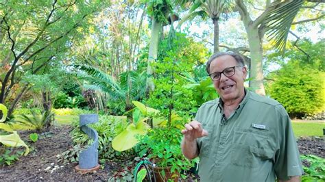 Palmstreet Tour Of Docblocks Botanical Gardens Drea Williams 2024 Youtube