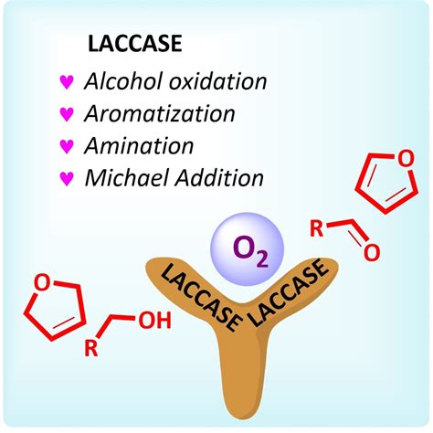 Recent Advances In Molecular Oxygen Assisted Laccase Catalyzed Sustainable Organic