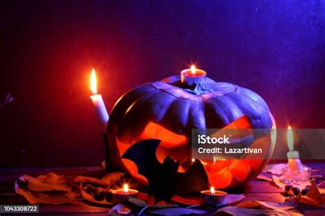할로윈의 호박 어두운 푸른 빛에서의 빛나는 호박 박쥐입니다 나무 배경에 할로윈 호박 머리 잭 랜 턴입니다 단풍과 촛불 10월에 대한 스톡 사진 및 기타 이미지 Istock