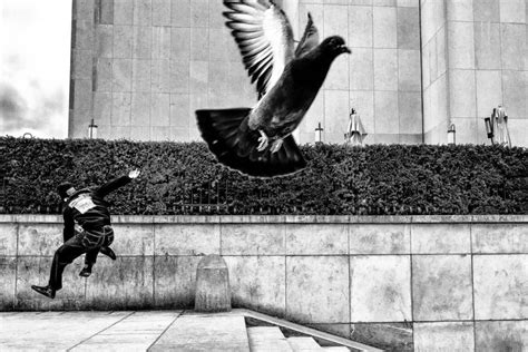 Jean Flavien Piquemal The Eye Of Photography Magazine