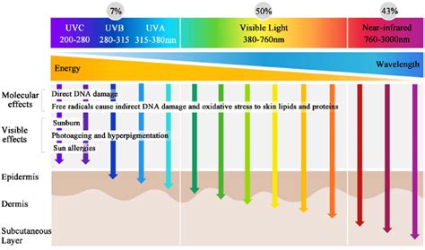Skin Penetration Of Electromagnetic Radiation Download Scientific