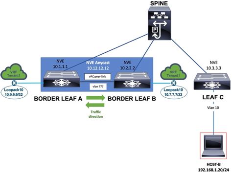 Nexus 9000 스위치의 Vxlan Bgp Evpn에서 시스템 Nve Infra Vlan 구성 Cisco