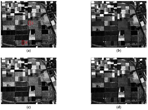 Learning A Dilated Residual Network For SAR Image Despeckling
