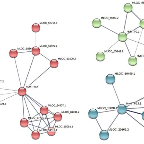 Hvmtp Protein Clustering Interaction Network Network Nodes Represent Download Scientific