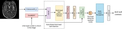 multi modal multi head self attention based medvqa architecture