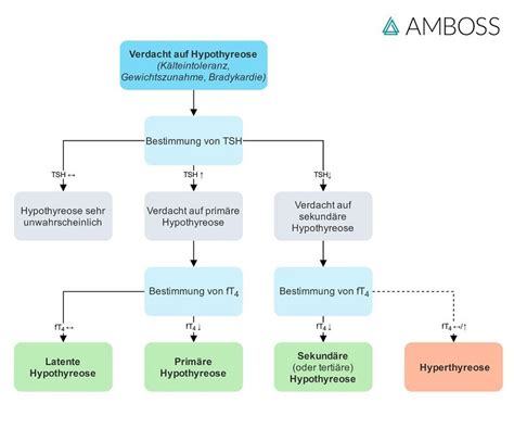 Viele Neue Klinische Flowcharts