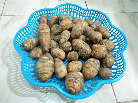 Delicious Bulbous Root Of The Arum Kachu Mukhi Fried Recipe — Hive