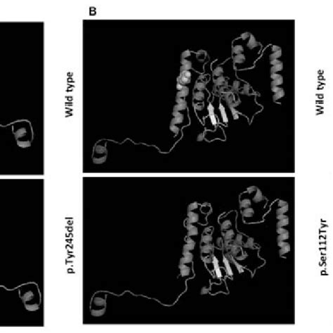 3d Structure Of Mutated Amino Acid Residues For Mutations A C514ga