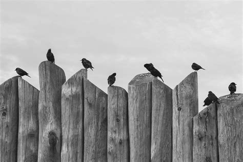 Meet Ekaterina Erofeeva Canvasrebel Magazine