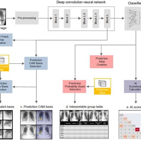 Schematic Overview Of Cxr Interpretation By Our Xai Model Using A Download Scientific Diagram
