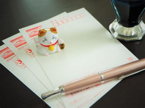 Torisashi（鳥刺し）chicken Sashimi Wa Shoku Japanese Jobs And Foods