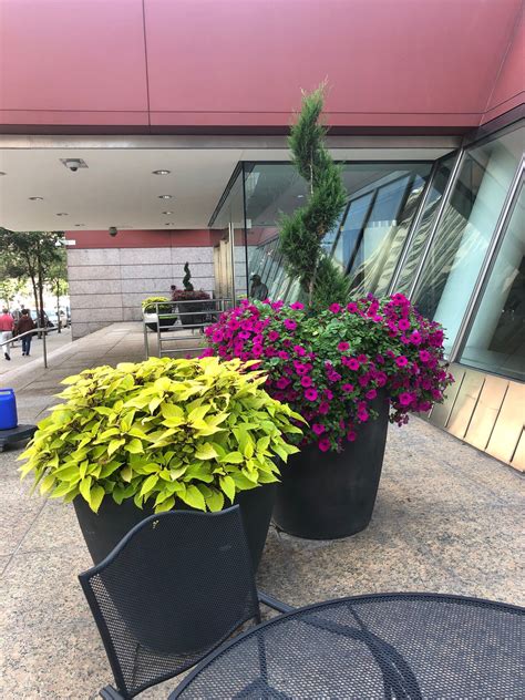 Trivent 19 1 Mccaren Designs