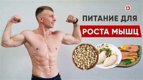 Как Набрать Вес? | Питание для Набора Мышечной массы - YouTube