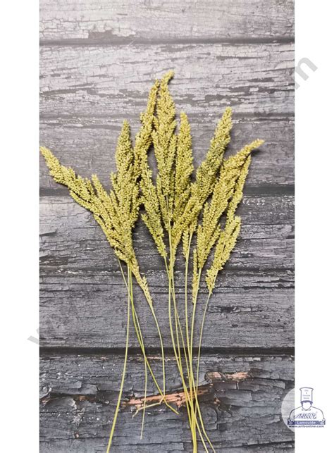 Home Cake Decor™ Small Natural Dried Shyama Grass For Cake Decoration