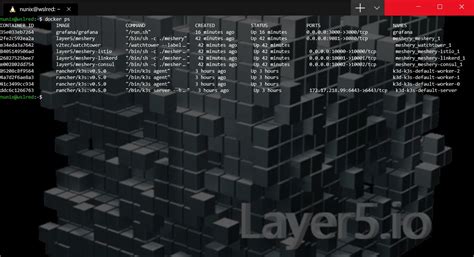 Getting Started With Meshery Wsl2 And K3d