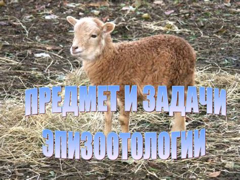 Введение в эпизоотологию - презентация онлайн