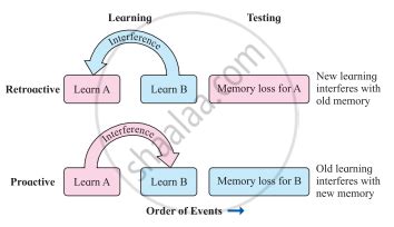 Interference Memory Psychology