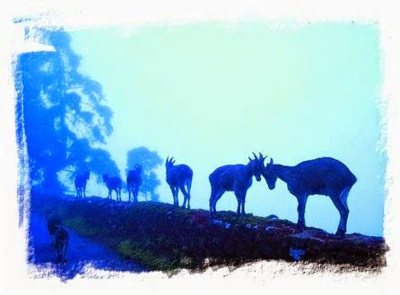 ENGLISH CLASS BY CKR Writing Character Sketches