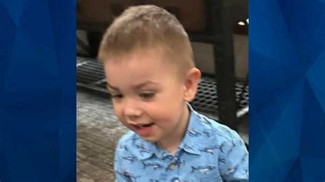 Dane Paulsen Crime Online