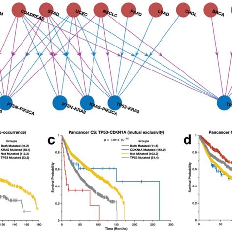 A Example Of Mutation Signature Plot Showing Co Occurrence And