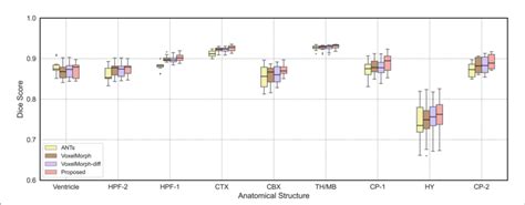 Figure The Boxplots Of Average Dice Scores Of Nine Anatomical Download Scientific Diagram