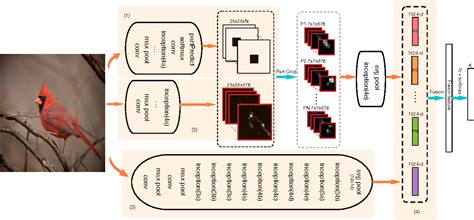 Figure 2 From Real Time Fine Grained Categorization With Accuracy And Interpretability