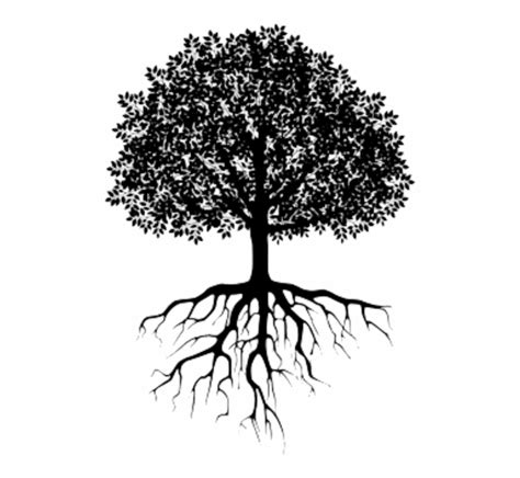 Transparent Tree With Roots Love