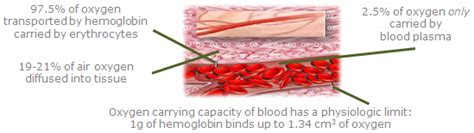 Hyperbaric Oxygen Normobaric Oxygenation And Hyperoxygenation Promoted