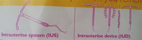 For Female Travelers Safe Sex While Traveling