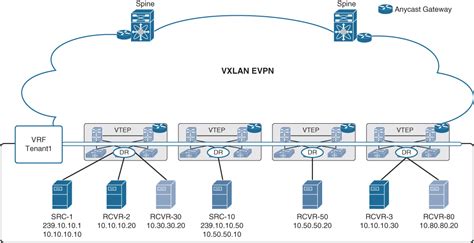 How To Create Vxlan On Cisco Switch Wisepoint