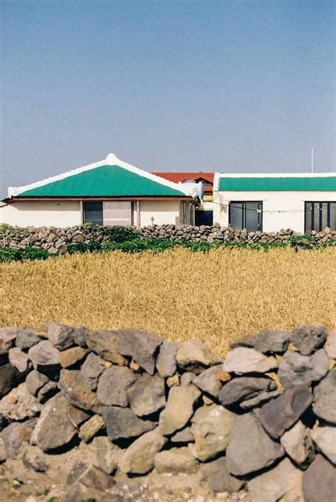 보리밭에 부는 바람