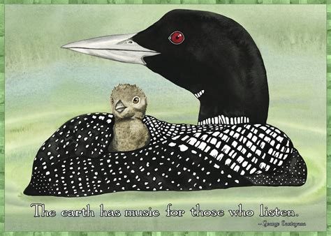 Loon Music Birthday Card Set Of 4 Loon Card Maine Card Lake Card