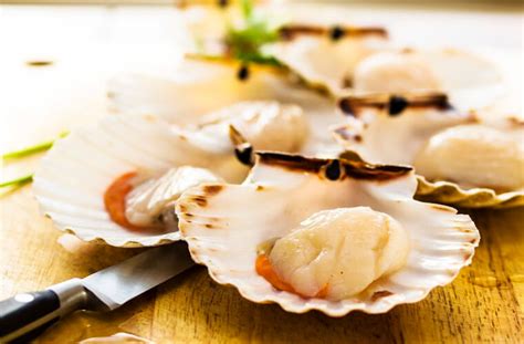 Всё про морские гребешки: рецепты, как выбрать, приготовление, цена