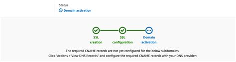Amplify Custom Domain Stuck In Domain Activation Aws Repost