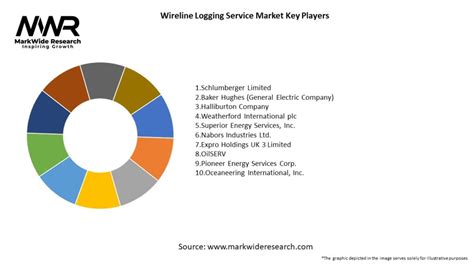 Wireline Logging Service Market Analysis Industry Size Share Research Report Insights Covid