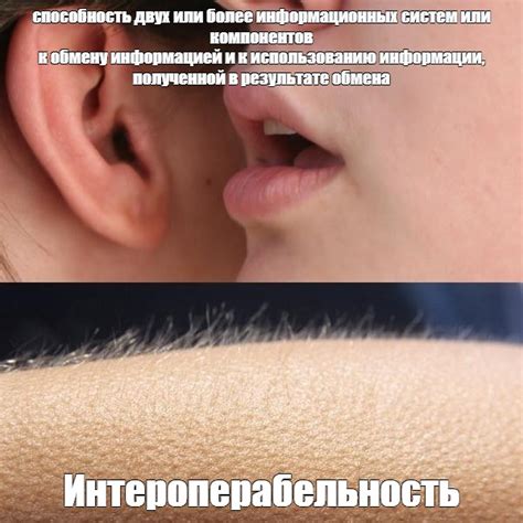 Мем способность двух или более информационных систем или компонентов