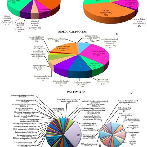 Go Analysis Of Target Genes Target Genes Were Found To Be Involved In