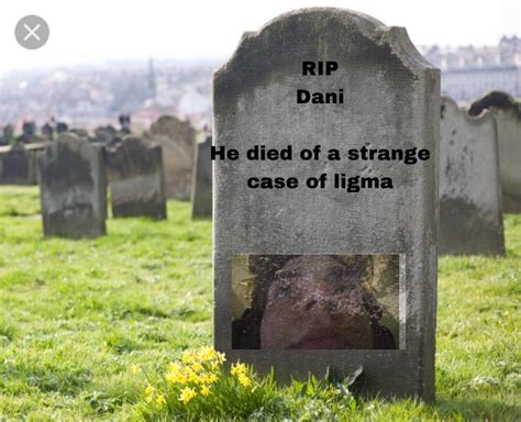 Rip Dani R Danidev