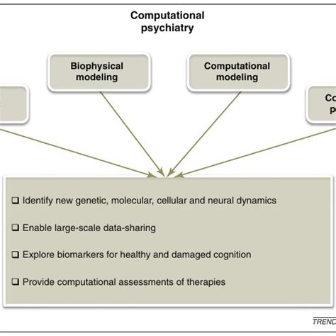 overview of computational psychiatry different computational tools