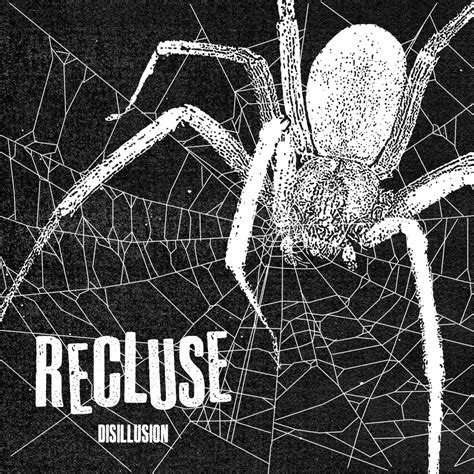 Disillusion Recluse