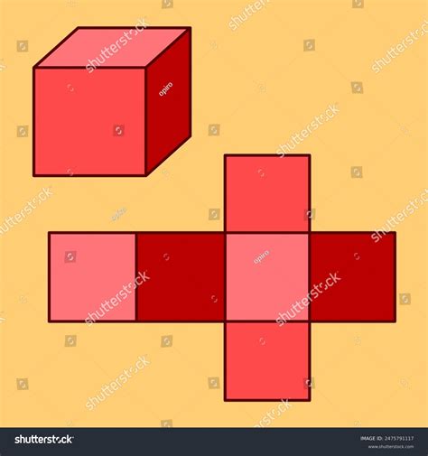basics cube forming mathematics lesson geometry stock vector royalty