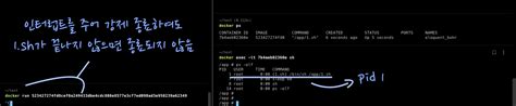 Docker와 Dumb Init Hahwul
