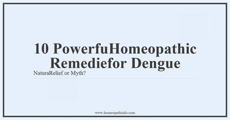 10 Powerful Homeopathic Remedies For Dengue Natural Relief Or Myth