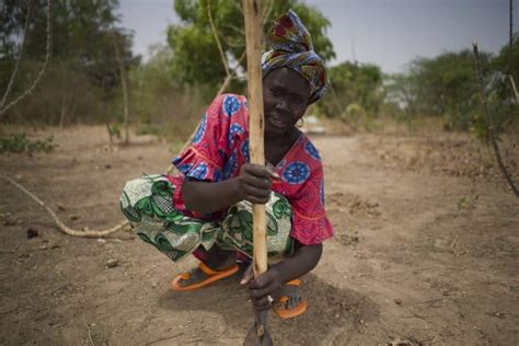 Trees For The Future Planting Today For A Greener Tomorrow