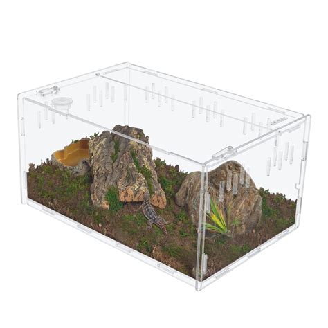 Stick Insect Acrylic Terrarium Snails 30 Cm X 20 Cm X 15 Cm Reptile
