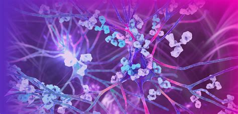 Amiodarone Drug Interactions Patient Care Online